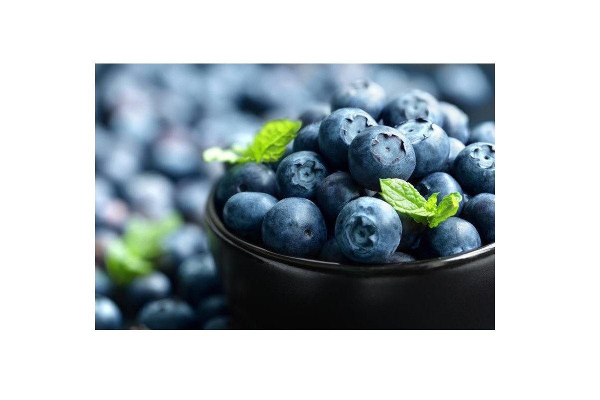 Myrtilles sauvages entières 1Kg - FRUITS ROUGES & CO - Surgelé