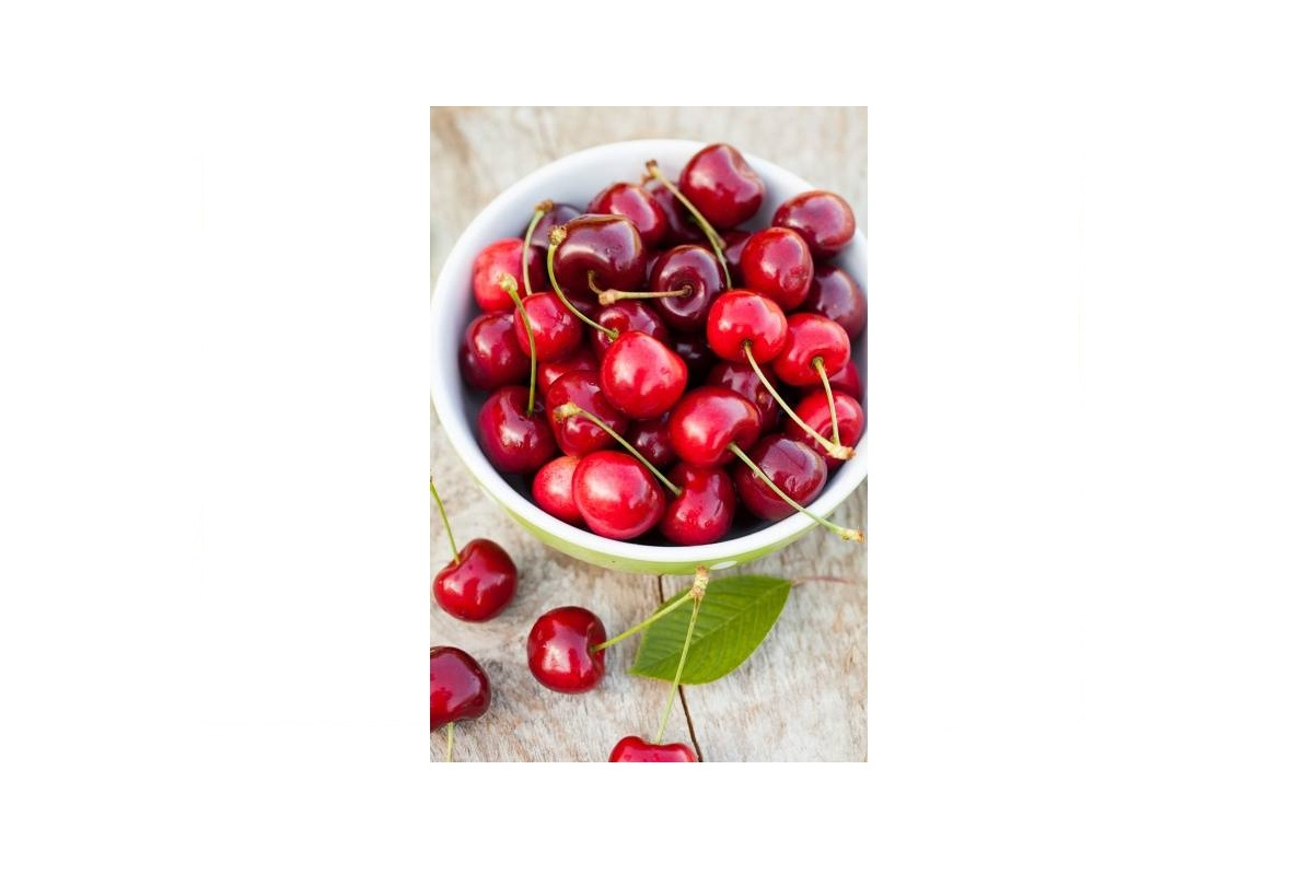 Griotte dénoyautée individuelle PL 1Kg - FRUITS ROUGES & CO - Surgelé