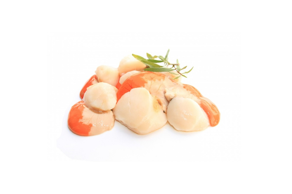 Noix de Saint-Jacques Française coraillée x2Kg par Distributeur 287